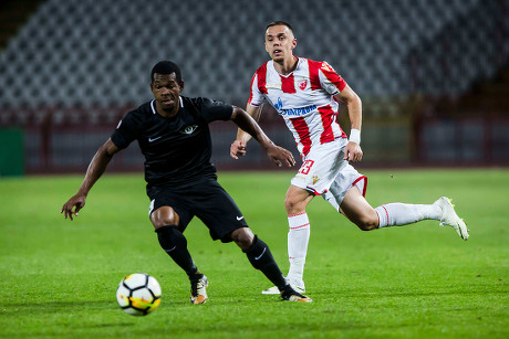 Defender Milan Rodic Red Star Belgrade Editorial Stock Photo - Stock ...