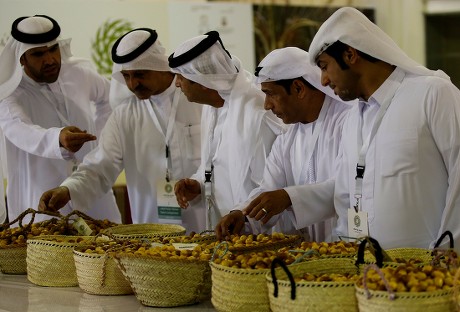 Uae Competition Judges Inspect Baskets Dates Editorial Stock Photo ...