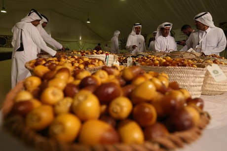 Uae Competition Judges Inspect Baskets Dates Editorial Stock Photo ...