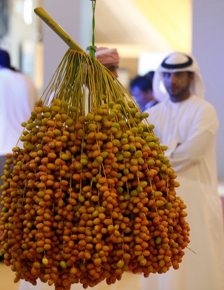 Uae Man Looks Etheg Branch Dates Editorial Stock Photo - Stock Image ...