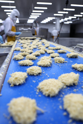 Workers Food Processing Factory Editorial Stock Photo - Stock Image ...