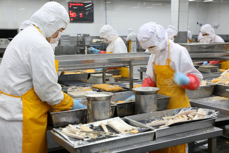 Workers Food Processing Factory Editorial Stock Photo - Stock Image ...
