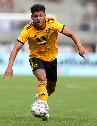 Benny Ashleyseal Wolverhampton Wanderers Action During Editorial Stock ...