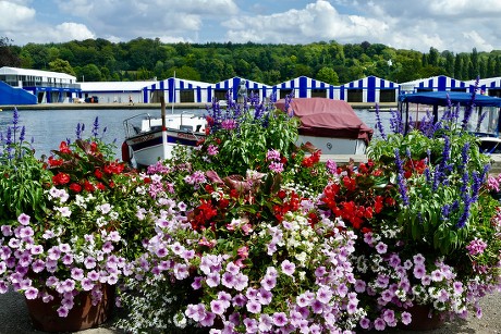 Flowers Along River Thames Hot Weather Editorial Stock Photo - Stock ...