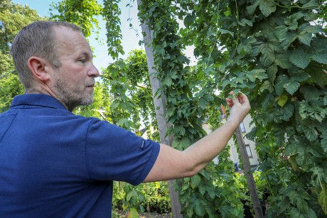 Michael Scheer Manager Nonprofit Organization Inclusive Editorial Stock ...