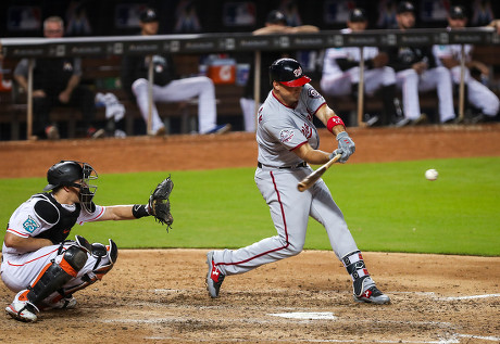 Washington Nationals First Baseman Ryan Zimmerman Editorial Stock Photo ...