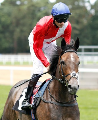 Angels Hideaway Robert Havlin Before Winning Editorial Stock Photo ...