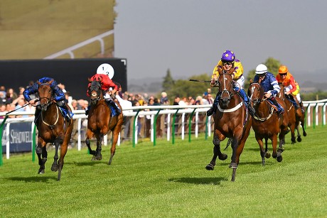 Evening Racing & The Chapel X Salisbury Races (Part 6), Horse Racing ...