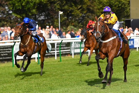Evening Racing & The Chapel X Salisbury Races (Part 6), Horse Racing ...
