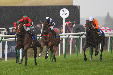 Evening Racing & The Chapel X Salisbury Races (Part 6), Horse Racing ...