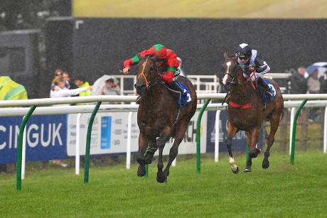 Evening Racing & The Chapel X Salisbury Races (Part 6), Horse Racing ...