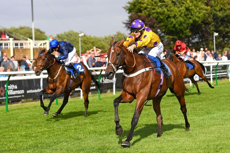 Jockey Patrick Millman Talks Connections Biotic Editorial Stock Photo ...