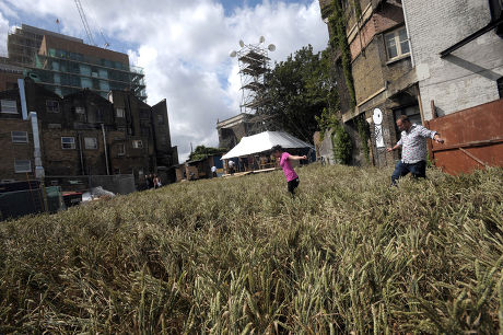 The Dalston Mill, Hackney, London, Britain - 14 Jul 2009 Stock Pictures ...