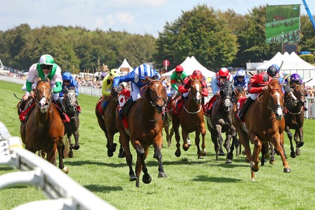 250 31 red horse Stock Pictures, Editorial Images and Stock Photos ...