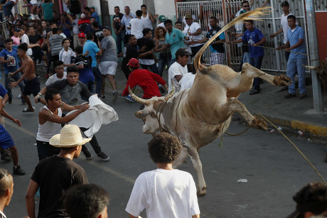 Bull Chases Several Devotees During Start Editorial Stock Photo - Stock ...
