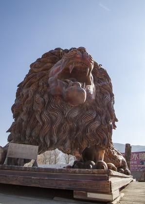Tree Root Sculpture Lion Can Be Editorial Stock Photo - Stock Image ...