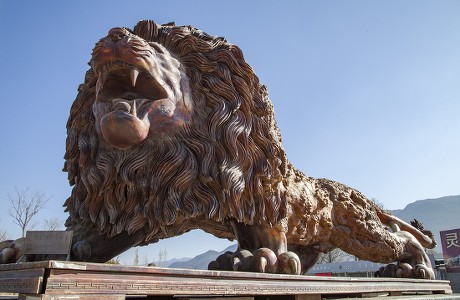 Tree Root Sculpture Lion Can Be Editorial Stock Photo - Stock Image ...