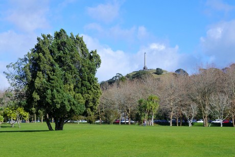 Landscape Cornwall Park One Tree Hill Editorial Stock Photo - Stock ...