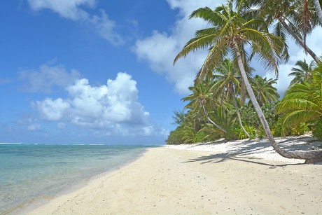 250 Pacific island background Stock Pictures, Editorial Images and ...