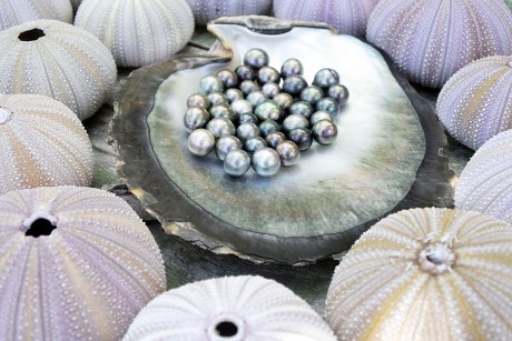 __COUNT__ Tahitian Black Pearls, Rarotonga, Cook Islands - 30 Dec 2017 ...
