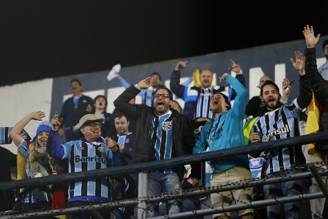 Gremios Fans Cheer On Their Team Editorial Stock Photo - Stock Image ...