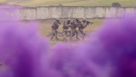 59 Military smoke screen Stock Pictures, Editorial Images and Stock ...