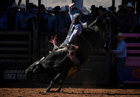 Rodeo Spectator Vern Daisy Palm Island Editorial Stock Photo - Stock ...