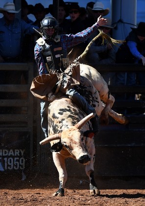 Brady Fielder Rides Final Open Bull Editorial Stock Photo - Stock Image ...