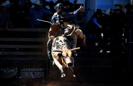 Brady Fielder Rides Final Open Bull Editorial Stock Photo - Stock Image ...