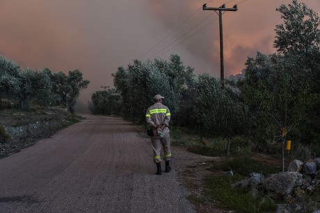 Firefighter Inspects Forest Fire That Break Editorial Stock Photo ...