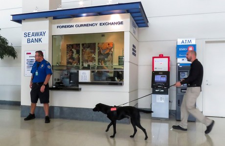 Currency exchange in Chicago, Illinois, USA - 13 Aug 2018 Stock ...