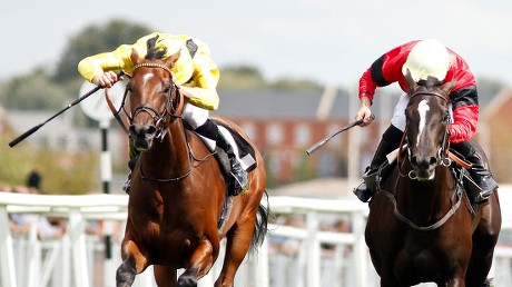 Athmad James Doyle Wins Don Deadman Editorial Stock Photo - Stock Image ...