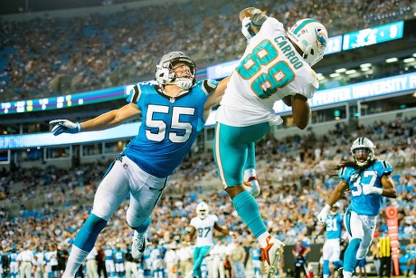 Miami Dolphins Wide Receiver Leonte Carroo Editorial Stock Photo ...
