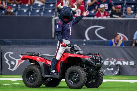 Houston Texans Mascot Toro Prior Preseason Editorial Stock Photo ...