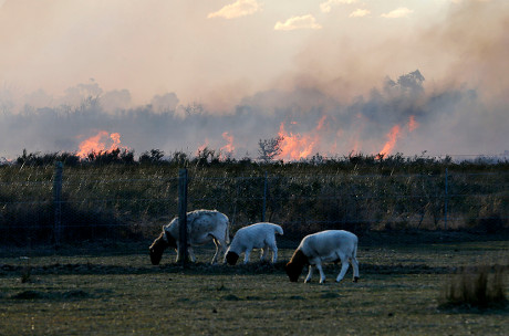 Fire Crews Battle Extinguish Bushfire Salt Editorial Stock Photo ...