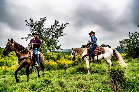 People Riding Horses Editorial Stock Photo - Stock Image | Shutterstock