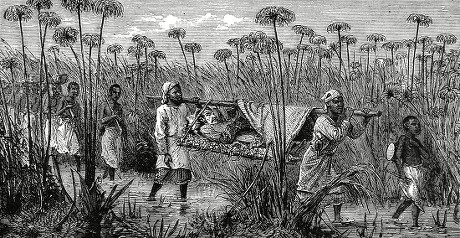 Engraving Showing Sick Dr David Livingstone Editorial Stock Photo ...