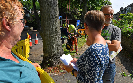 Tree Surgeons Pack Leave After Stag Editorial Stock Photo - Stock Image ...