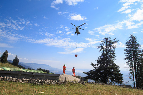 Helicopter Swiss Army Airlifts Water Cows Editorial Stock Photo - Stock ...