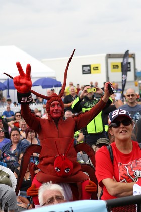 Marc Marquez Fans During Pre Event Editorial Stock Photo - Stock Image ...