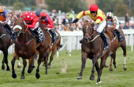 Alpha Delphini Right Graham Lee Beats Editorial Stock Photo - Stock ...