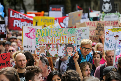 Animal Rights Activists Gather Millbank Start Editorial Stock Photo ...