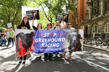 Animal Rights Activists Gather Millbank Start Editorial Stock Photo ...