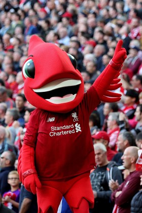 Liverpool Mascot Mighty Red Editorial Stock Photo - Stock Image ...