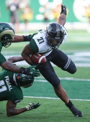 imágenes de NCAA Football Hawaii vs Colorado State, Fort Collins, USA ...