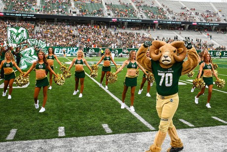 Colorado State Mascot Cam Ram Takes Editorial Stock Photo - Stock Image ...