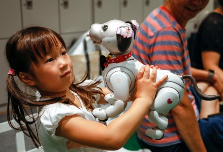 __COUNT__ imágenes de Sony robot dog aibo gahter at its fan meeting in Tokyo, Japan - 26 Aug ...