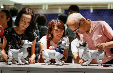 Sony Robot Dog Aibo Owners Fans Editorial Stock Photo - Stock Image ...