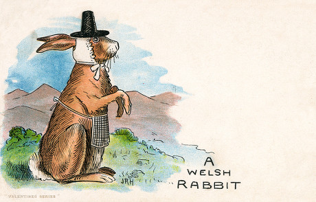 Welsh Rabbit Complete Traditional Welsh Costume Editorial Stock Photo ...