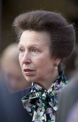 Princess Anne Editorial Stock Photo - Stock Image | Shutterstock